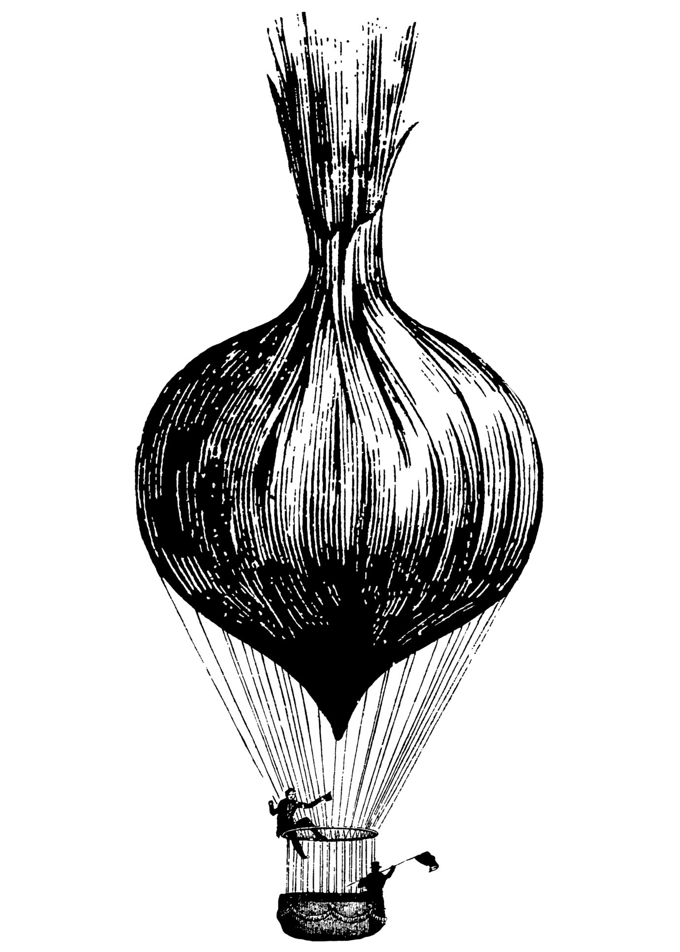 onion_balloon.fa copy – TOKY